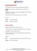 Cause/Effect, Fact/Opinion. 6th Grade ELA Worksheets and Study Guides.