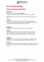 Text Features. 4th Grade ELA Worksheets and Answer Key, Study Guides.