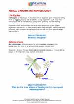 Animal Growth and Reproduction. Science Worksheets and Study Guides ...