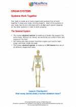 Organ systems. 4th Grade Science Worksheets and Answer keys, Study ...