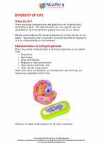 Diversity of life. Science Worksheets and Study Guides Sixth Grade.