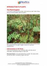 Introduction to Plants. Science Worksheets and Study Guides Seventh Grade.