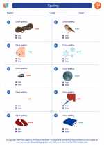 Spelling. 1st Grade ELA Worksheets and Answer Key, Study Guide.