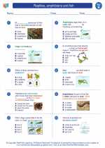 Reptiles, amphibians and fish. 2nd Grade Science Worksheets and Answer ...