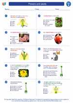 Flowers and seeds. 5th Grade Science Worksheets and Answer keys, Study ...