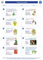 Flowers and seeds. 5th Grade Science Worksheets and Answer keys, Study ...