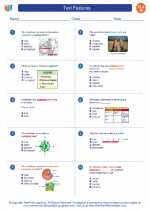 Text Features. 8th Grade ELA Worksheets and Answer key.
