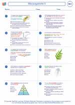 Microorganisms II. High School Biology Worksheets and Answer Keys ...