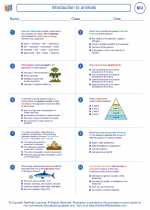 Introduction to animals. High School Biology Worksheets and Answer Keys ...