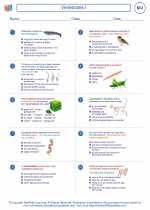 Vertebrates I. High School Biology Worksheets and Answer Key ...