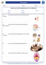 My senses. First Grade Science Worksheets and Answer keys, Study Guides ...