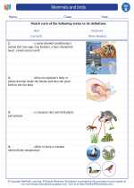 Mammals and birds. 2nd Grade Science Worksheets and Answer keys, Study ...