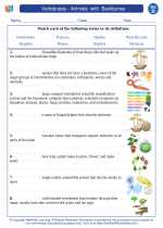 Vertebrates - Animals with Backbones. 4th Grade Science Worksheets and ...