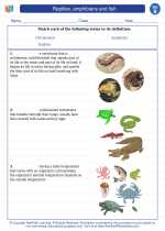 Reptiles, amphibians and fish. 2nd Grade Science Worksheets and Answer ...