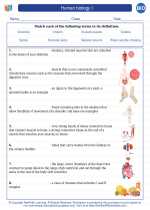 Human biology I. High School Biology Worksheets and Answer Keys ...