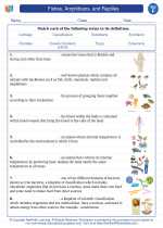 Fishes, Amphibians, and Reptiles. 6th Grade Science Worksheets and ...