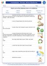 Invertebrates - Animals without Backbones. Science Worksheets and Study ...
