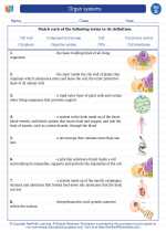 Organ systems. 4th Grade Science Worksheets and Answer keys, Study ...