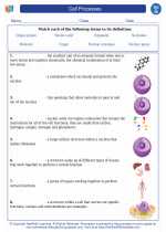 Cell processes. High School Biology Worksheets, Vocabulary Sets and ...