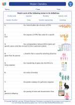 Modern Genetics. 8th Grade Science Worksheets and Answer key, Study ...