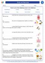 Birds and Mammals. 6th Grade Science Worksheets and Answer key, Study ...