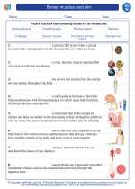 Bones, muscles, and skin. 8th Grade Science Worksheets and Answer key ...