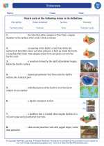 Volcanoes. 7th Grade Science Worksheets and Answer key, Study Guides ...