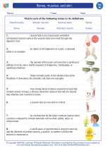 Bones, muscles, and skin. 8th Grade Science Worksheets and Answer key ...