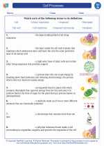 Biology Vocabulary Worksheets